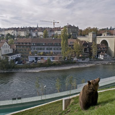 BärenPark — Stadt Bern