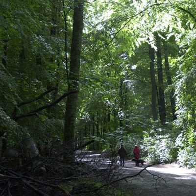 Tierpark Bern, Dählhölzli + BärenPark — Stadt Bern