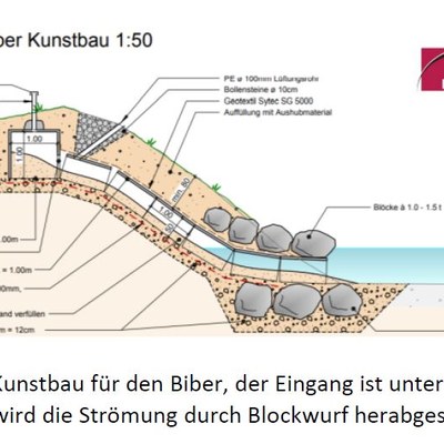 Ersatzbau für den Marzili-Biber — Stadt Bern
